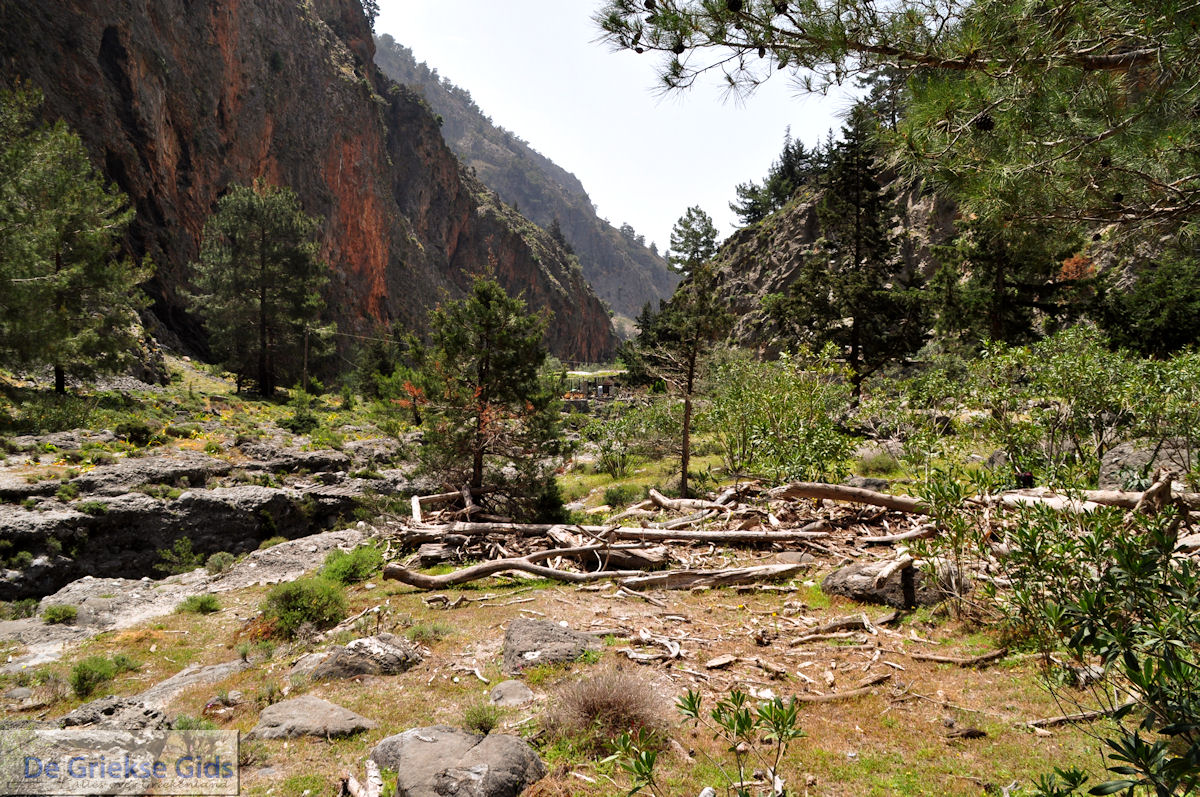 Samariakloof Kreta - vakantie, informatie en leuke tips