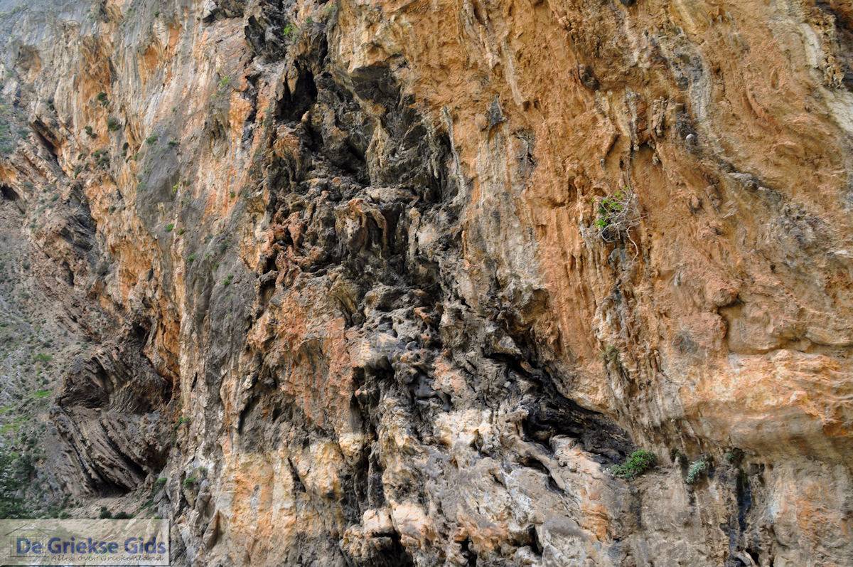 Samariakloof Kreta - vakantie, informatie en leuke tips