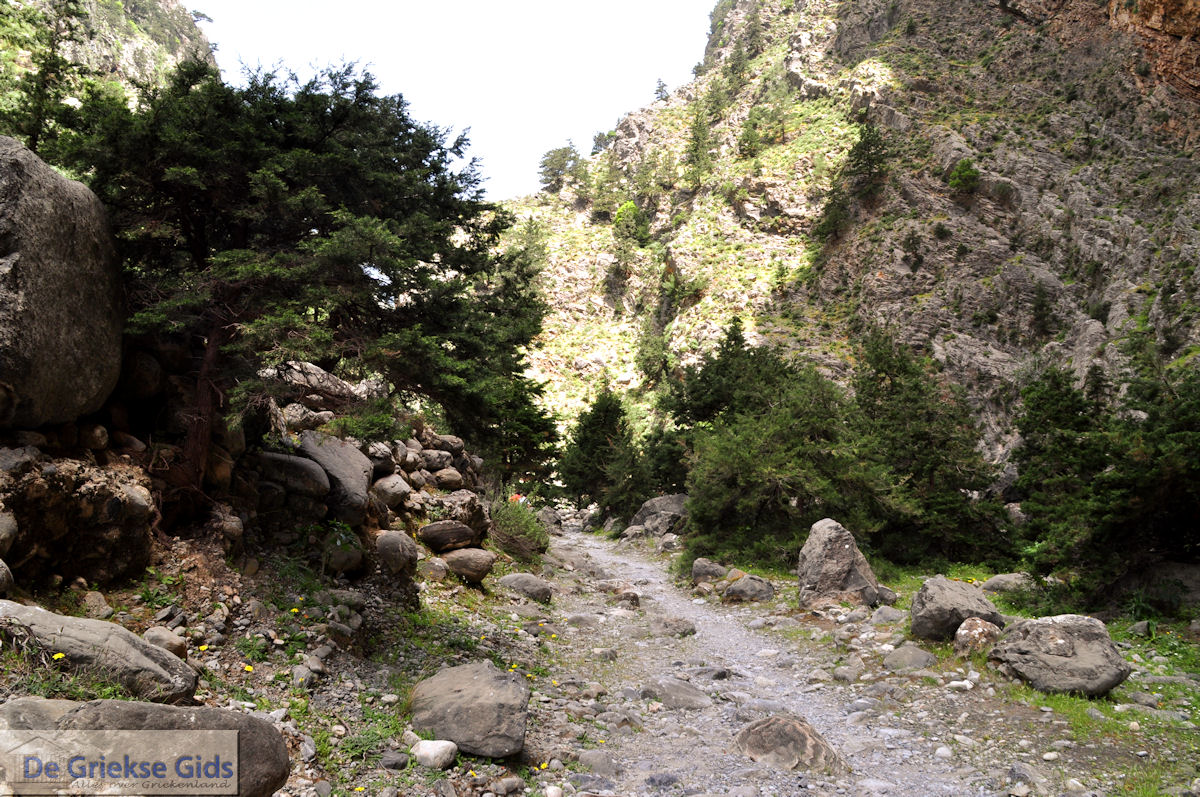 Samariakloof Kreta - vakantie, informatie en leuke tips