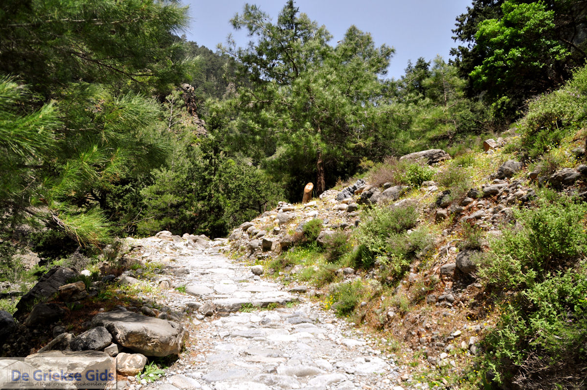 Samariakloof Kreta - vakantie, informatie en leuke tips