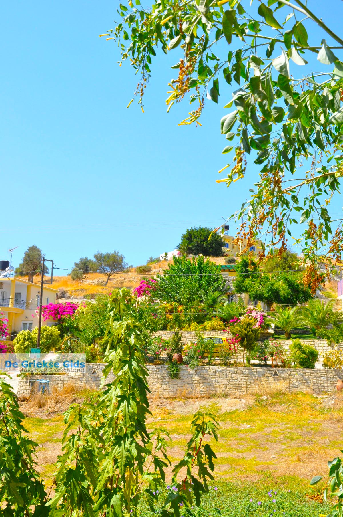 Pitsidia Kreta - vakantie, informatie en leuke tips