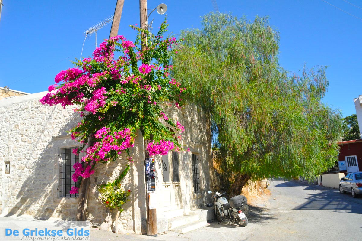 Sivas Kreta | De Griekse Gids