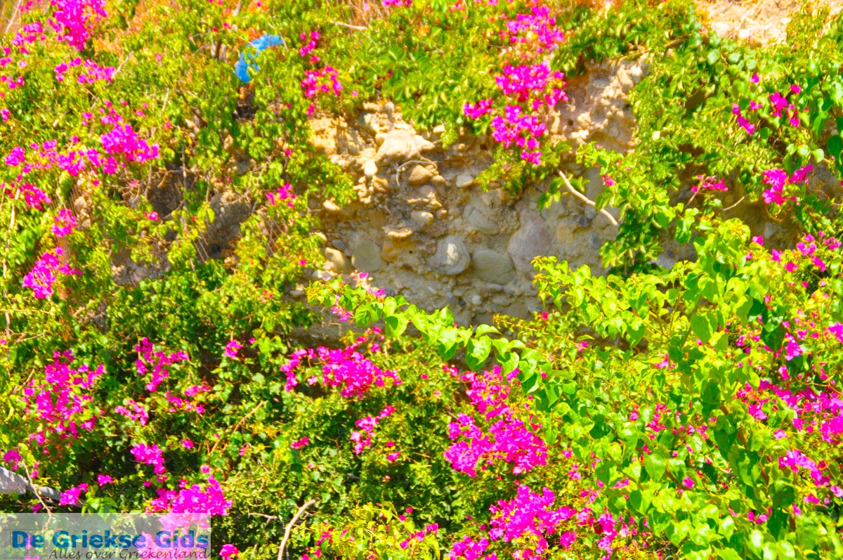 Gerani Rethymnon Kreta | Urlaub in Gerani Griechenland