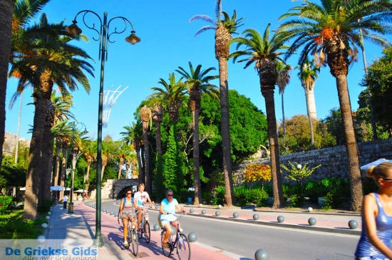 15 tips voor je vakantie op Kos